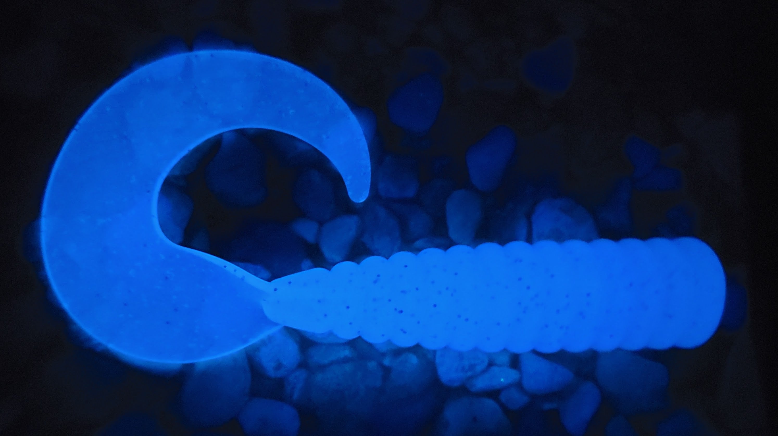 12" Nuclear GLOW Pacific Blue Mega Rattler Grub – Giro Custom Lures